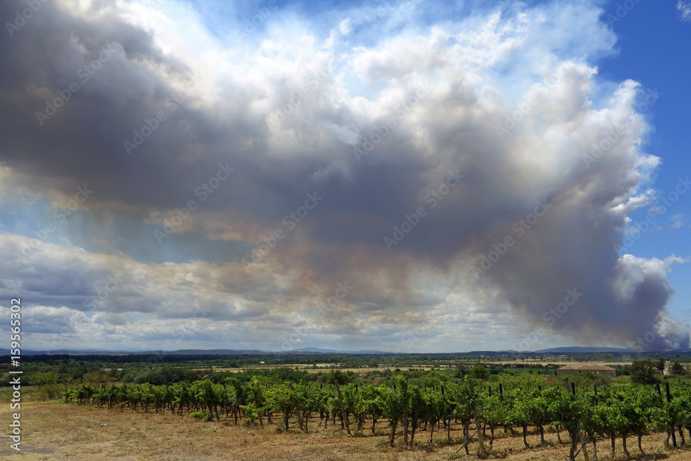 Waldbrand in Südfrankreich Stock Photo | Adobe Stock