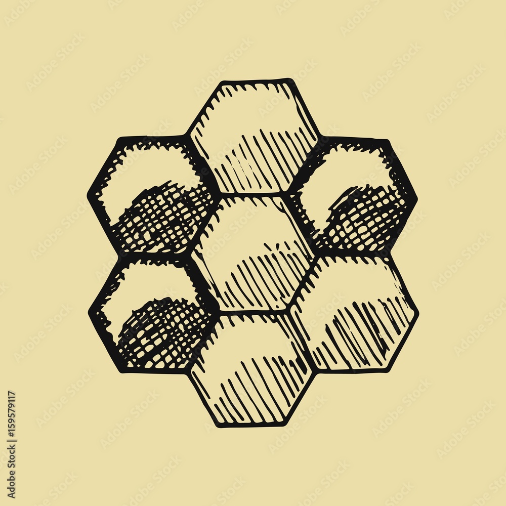 Honeycomb Drawing