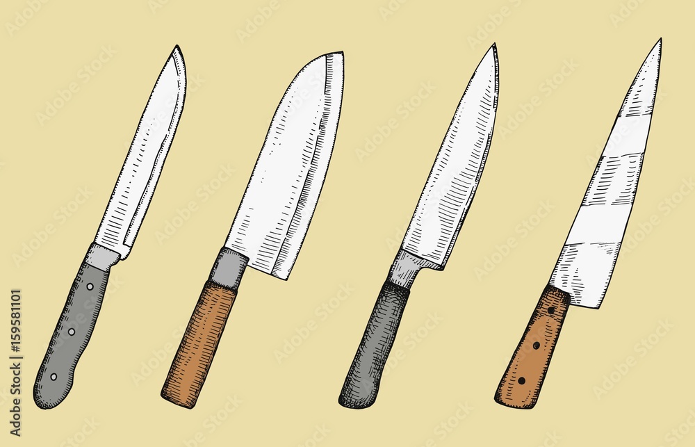Kitchen knives sketch. Vector hand drawing Stock Vector | Adobe Stock