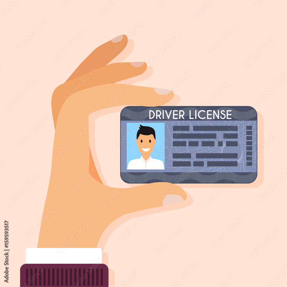 Hand holding driver license with male photo. Flat design style modern ...