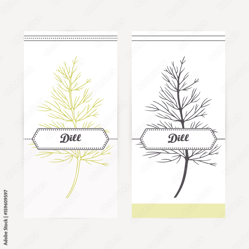 Hand drawn dill in outline and silhouette style. Spicy herbs Stock ...
