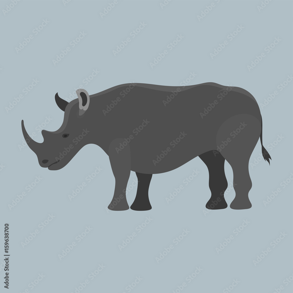 Wildlife rhinoceros mammal isolated rhino big wild africa animal ...