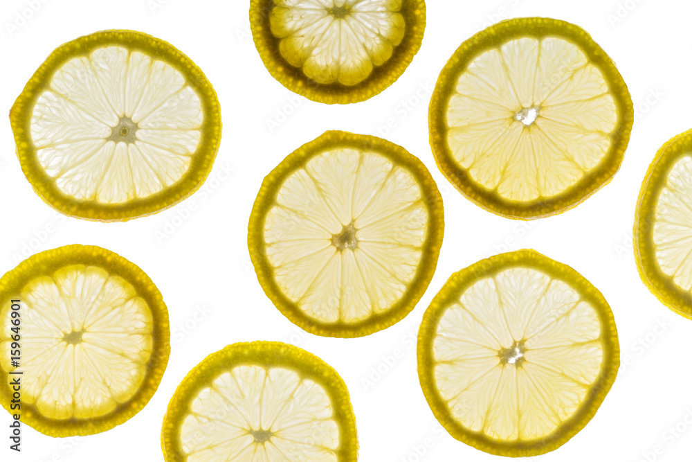 Sliced lemon circle on white background back light Stock Photo | Adobe ...