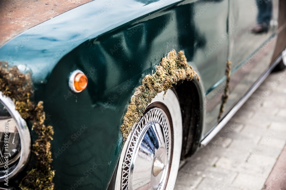 Old rusty submerged car with moss on the body Stock Photo | Adobe Stock