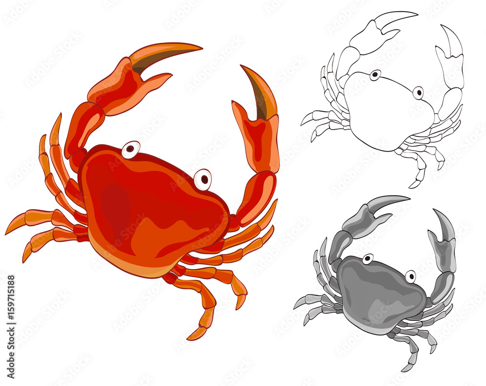 Crab drawing with grayscale and coloring page versions. vector ...