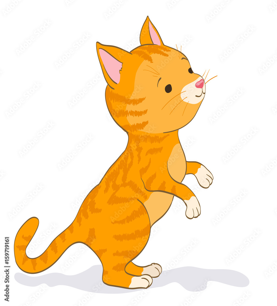 Cartoon Cat Standing