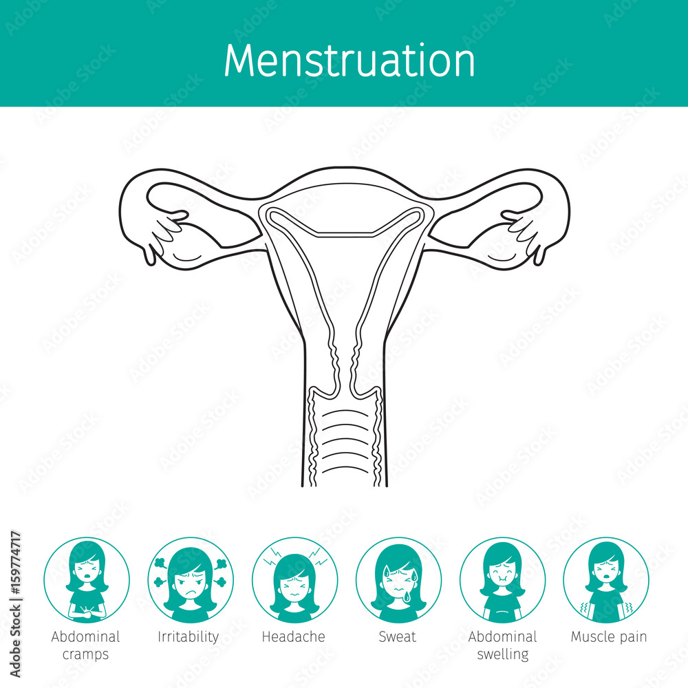 Illustration Of Human Uterus, Outline And Menstruation Symptom Icons ...