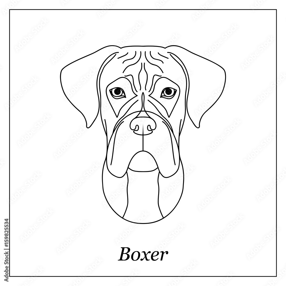 Boxer Dog Line Drawing