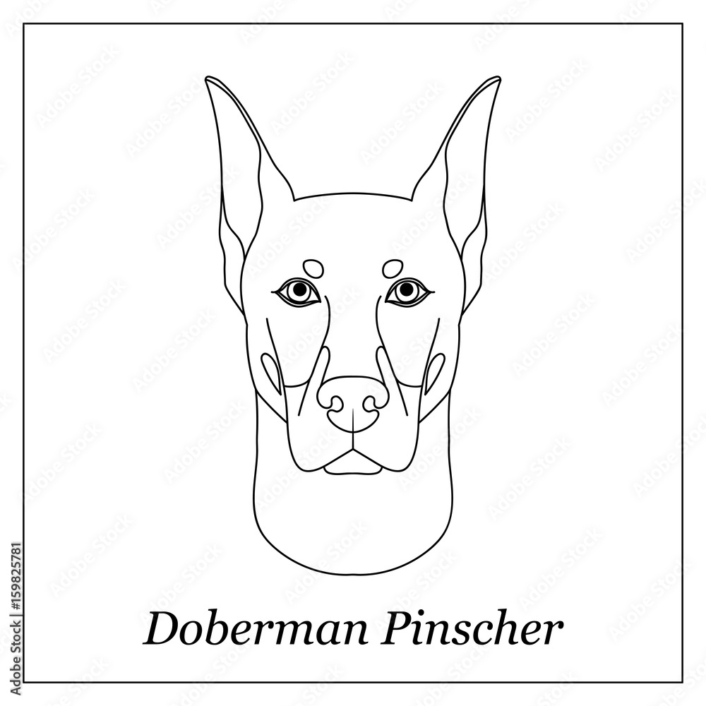 Doberman Outline