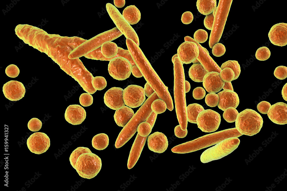 Mycoplasma bacteria isolated on black background, 3D illustration ...
