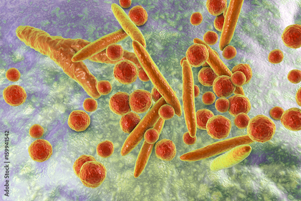 Mycoplasma bacteria, 3D illustration showing small polymorphic bacteria ...