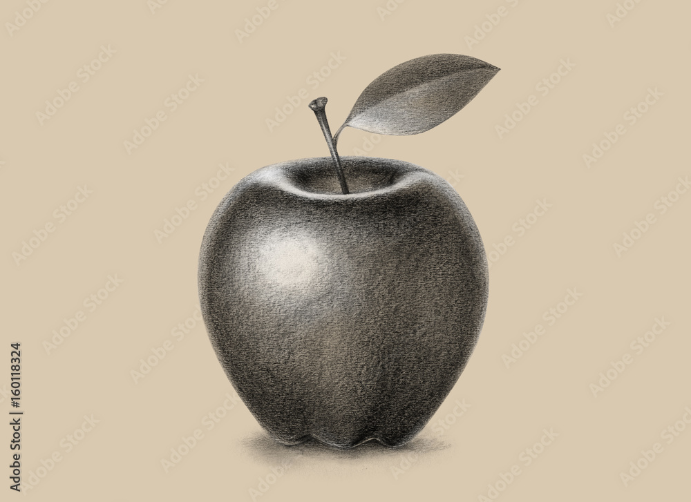 Apple pencil drawing black and white vintage style Stock Illustration ...