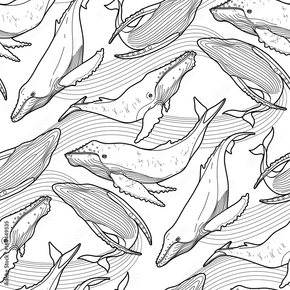 Graphic humpback whale pattern Stock Vector | Adobe Stock