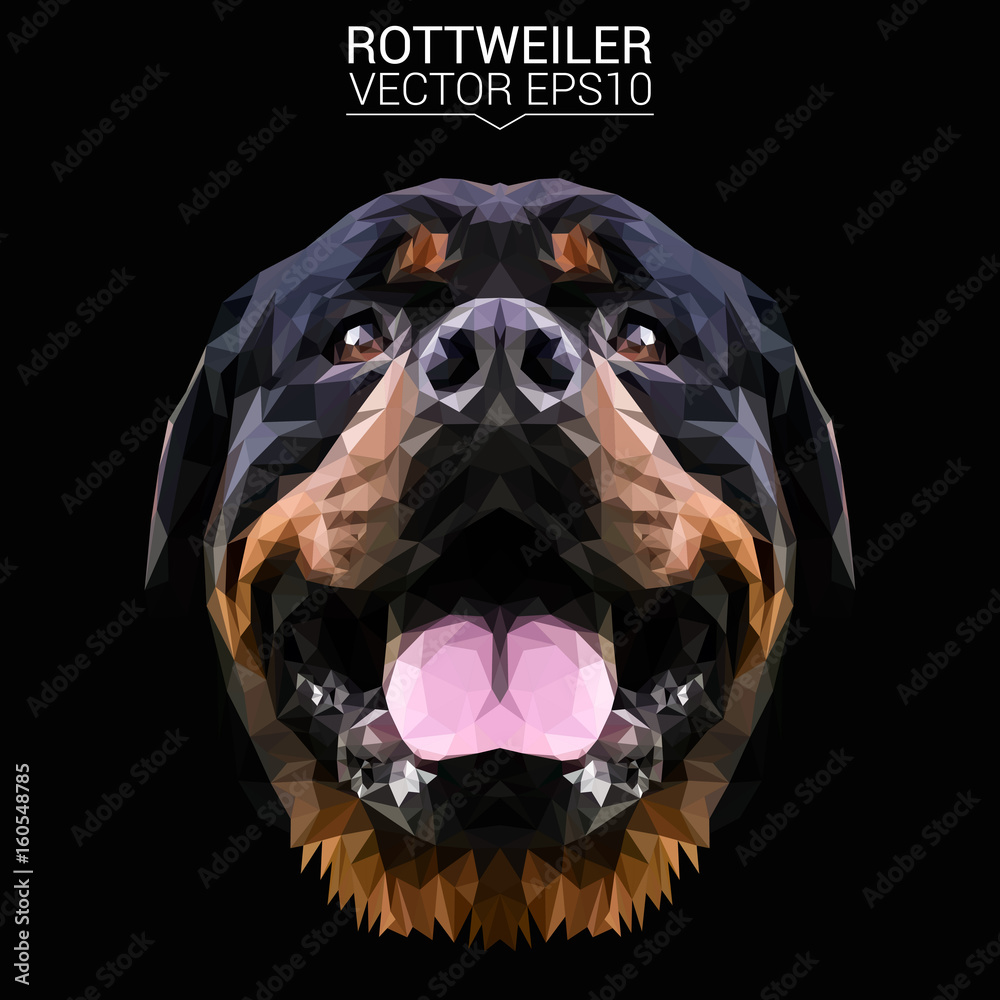 Rottweiler dog animal low poly design. Triangle vector illustration ...