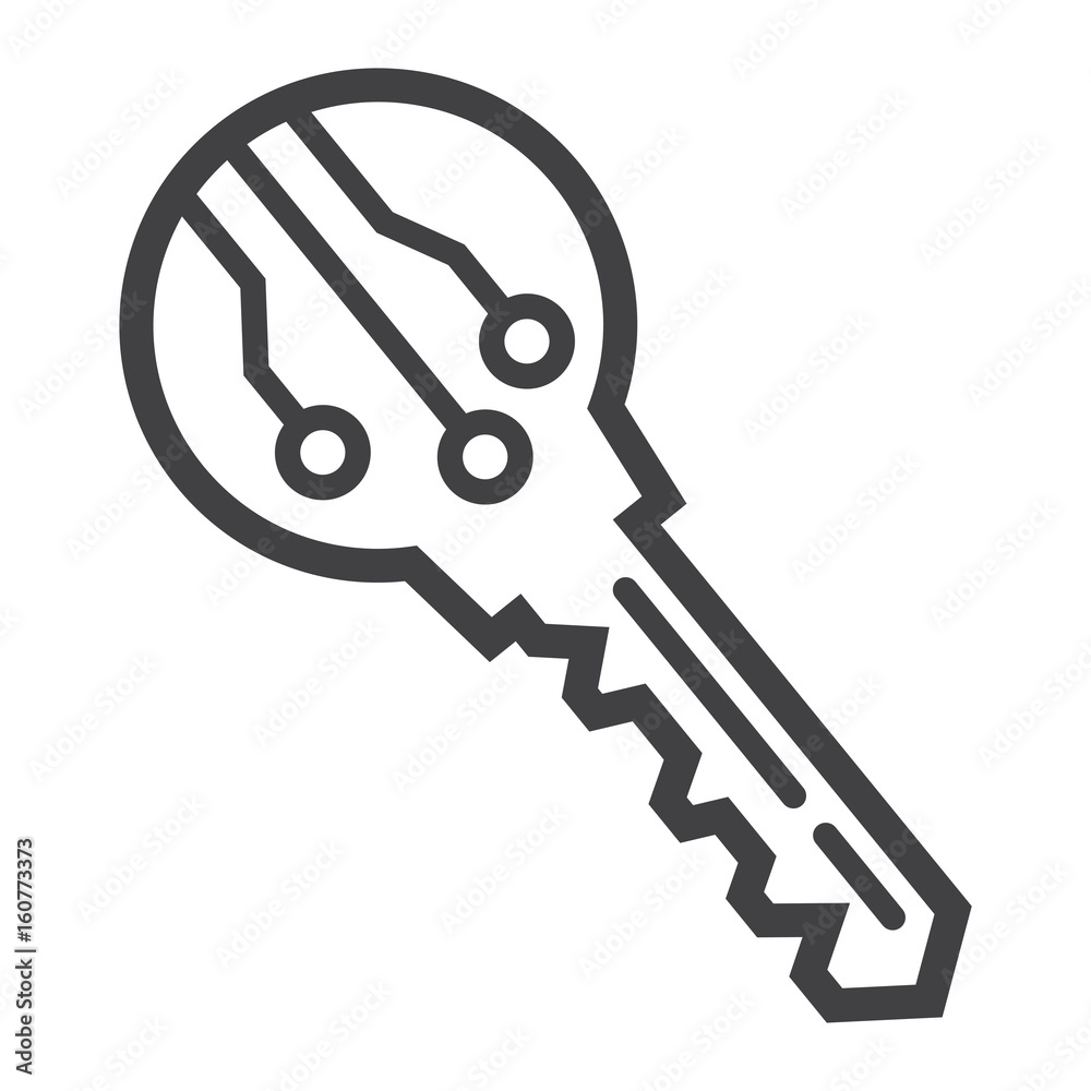 Electronic key line icon, security and access, vector graphics, a ...