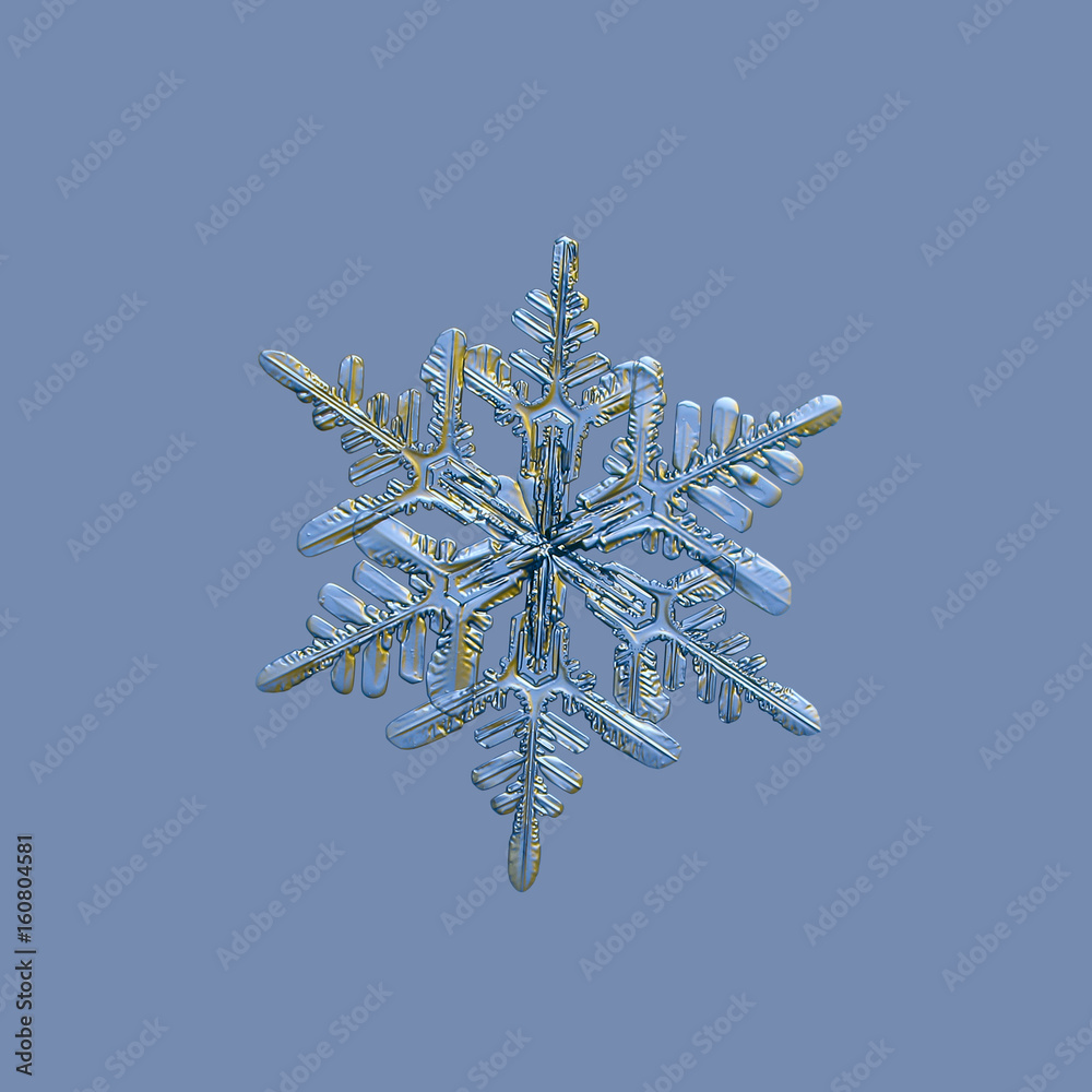 Snowflake isolated on uniform blue background. Macro photo of real ...