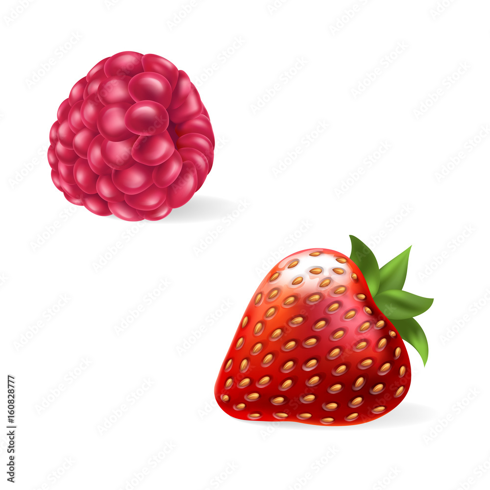 Vector illustration of a juicy raspberry and strawberry with stem in a ...