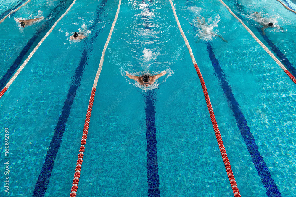 Five swimmers racing against each other in a swiming pool Stock Photo ...
