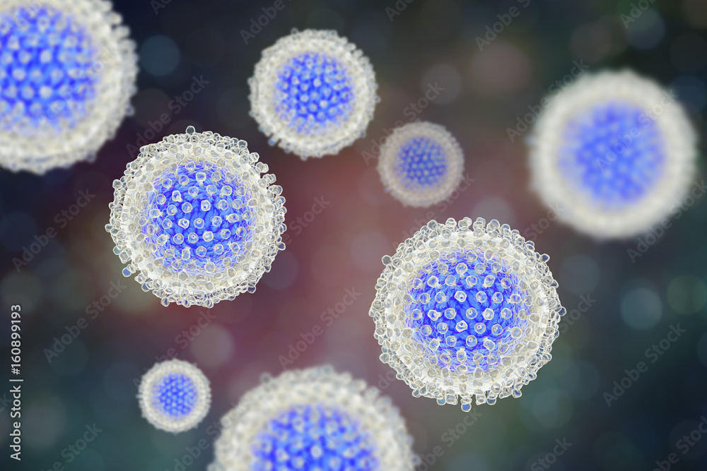 Hepatitis C virus model, 3D illustration. A virus consists of a protein ...