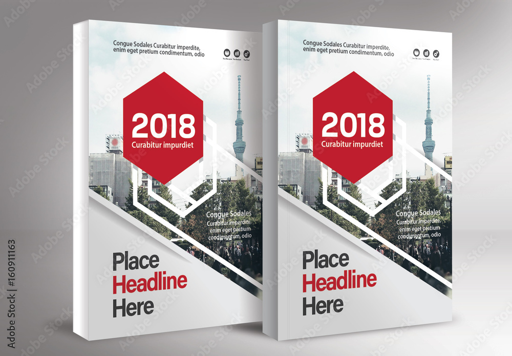 Book Cover Layout Set 79 Stock Template | Adobe Stock