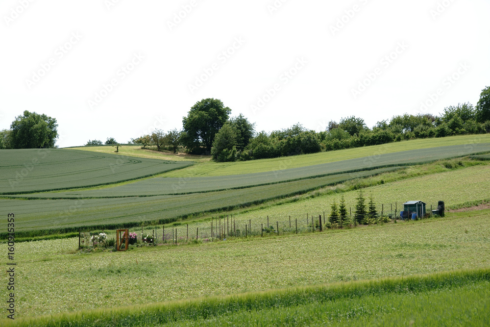 Garten in der Hügellandschaft / Ein Garten mit einem Werkzeugunterstand ...