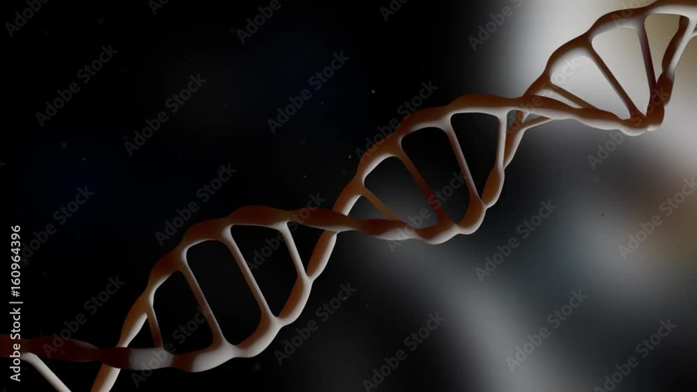 DNA strand. The camera flies around the DNA molecule. Genetic ...