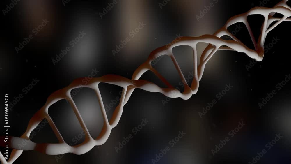 DNA. DNA strand. The camera flies around the DNA molecule. Genetic ...