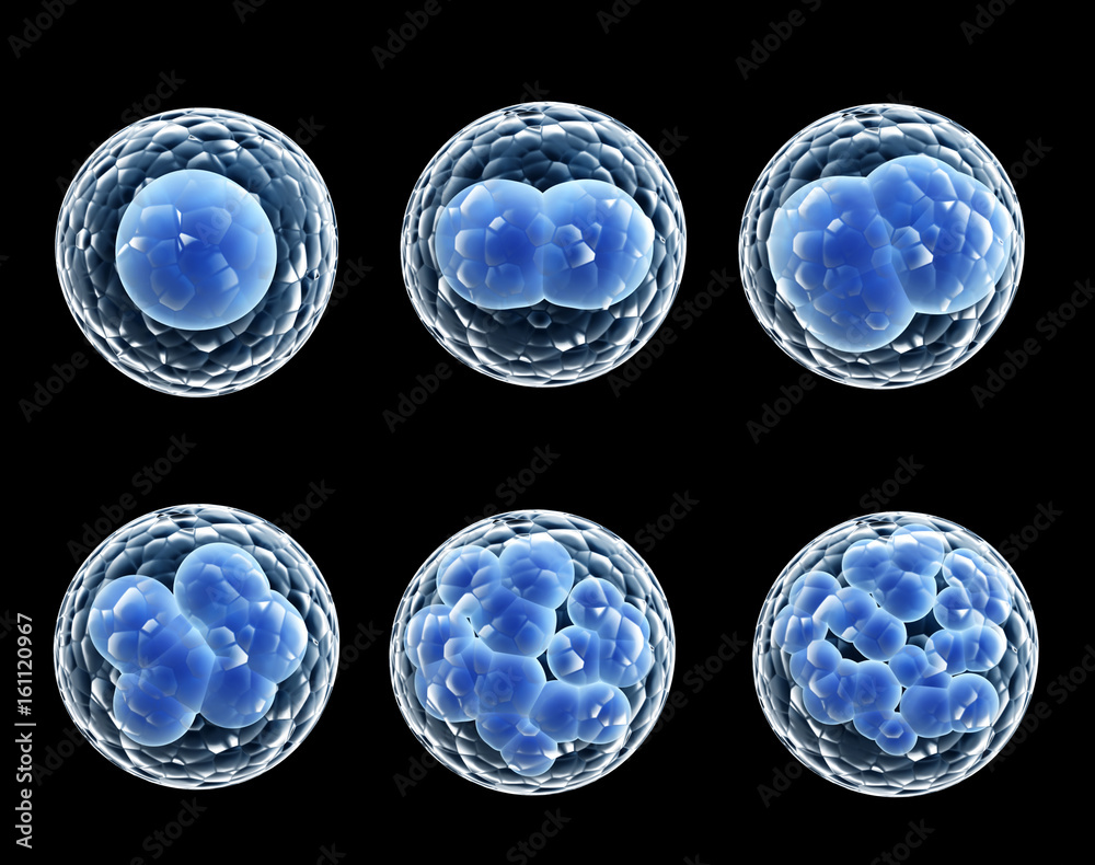 Process division of cell Stock Illustration | Adobe Stock