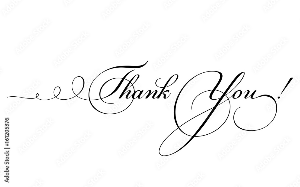 Thank You Card. Vector Calligraphy with Swirl. Stock Vector | Adobe Stock