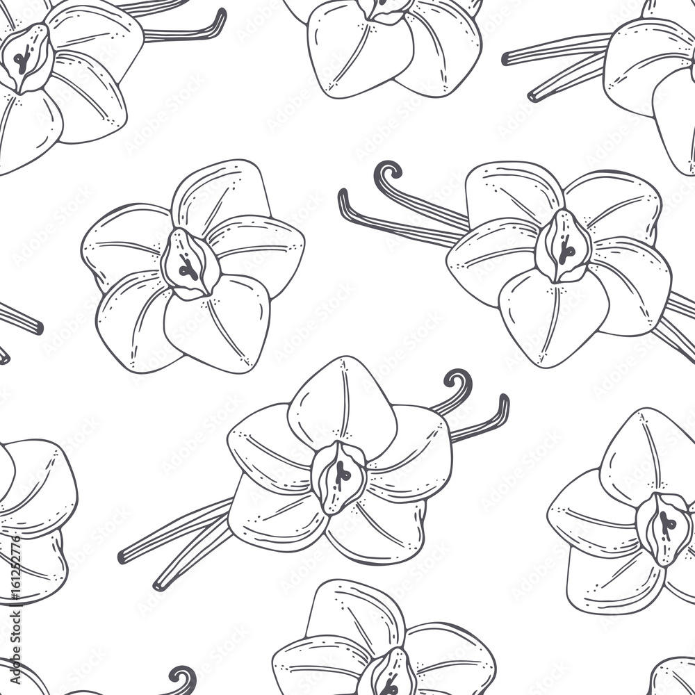 Hand drawn outline seamless pattern with vanilla. Black and white food ...
