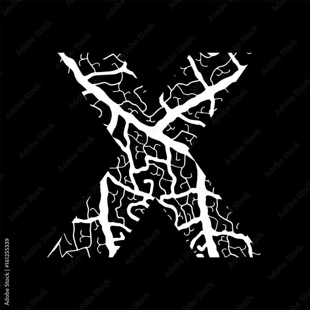 Letter X In Nature