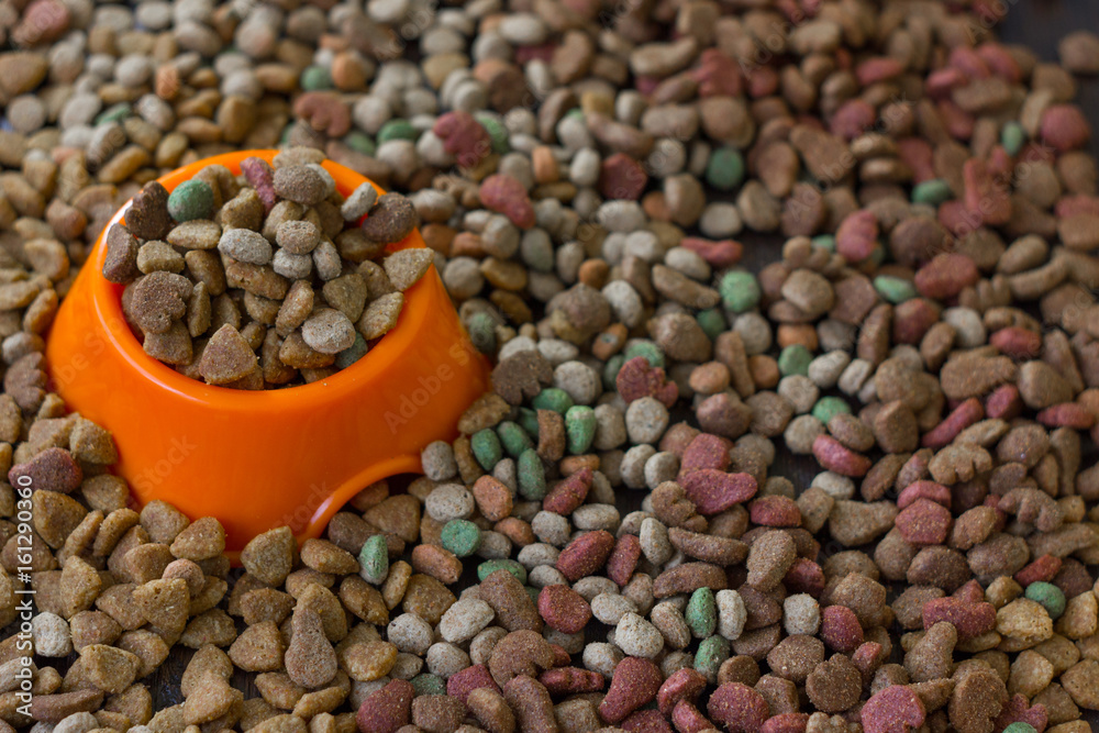 Orange plastic bowl filled with dry pet food surrounded by dry food for ...