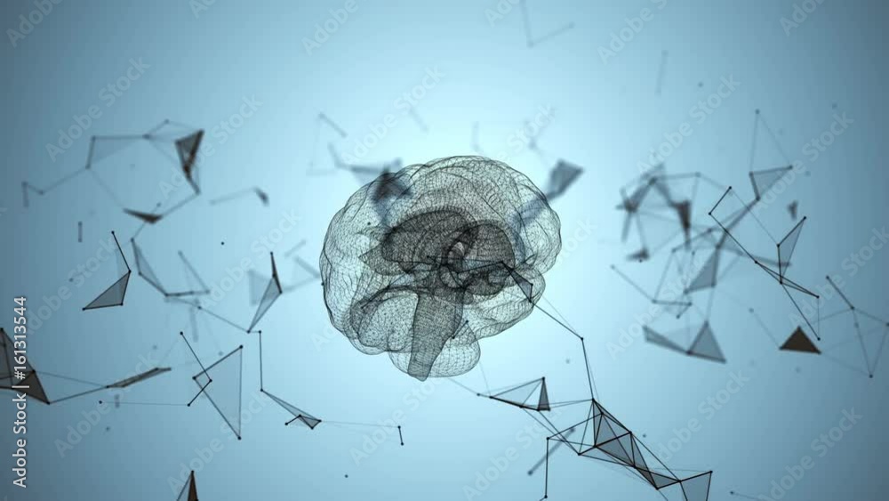 The human brain is formed by spinning particles. Stock Video | Adobe Stock