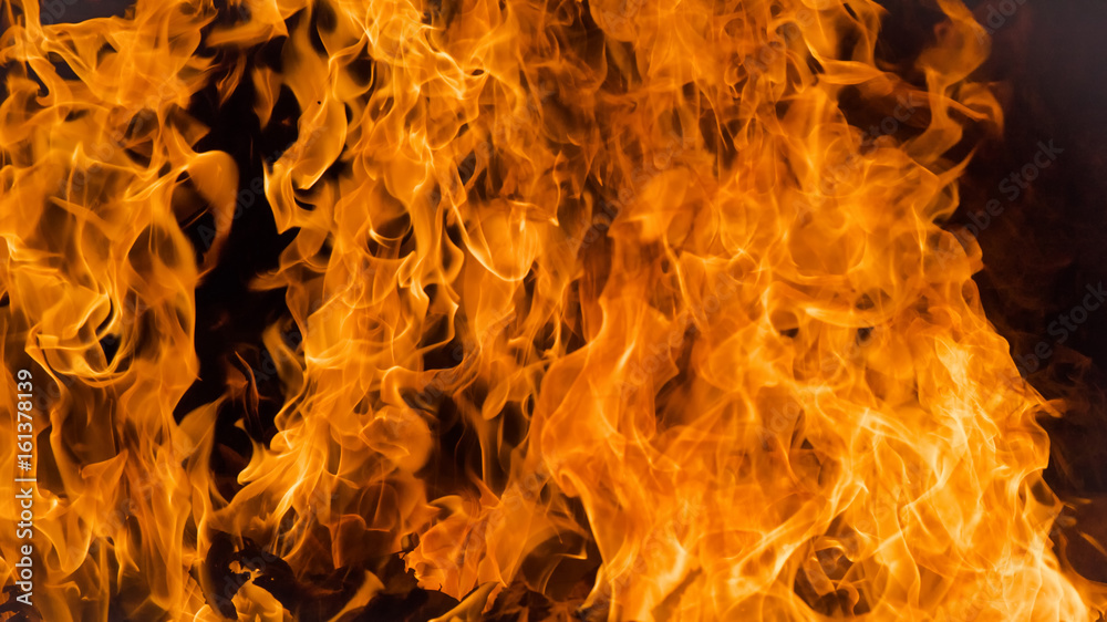 Blazing fire flame background and textured Stock Photo | Adobe Stock