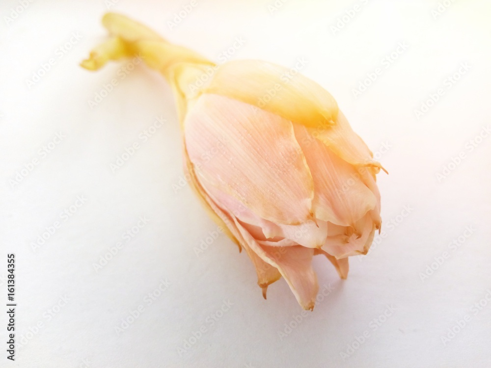 Ginger Flower Cooking