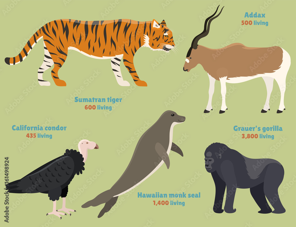 Endangered Animals In The Wild