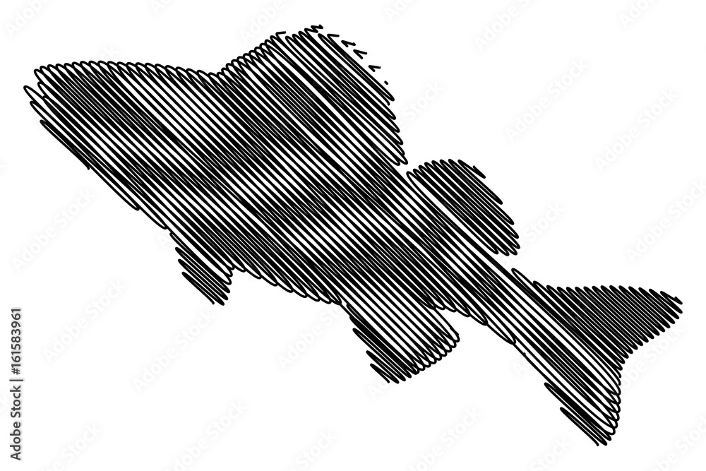 perch silhouette vector, (Perca fluviatilis), Stock Vector | Adobe Stock