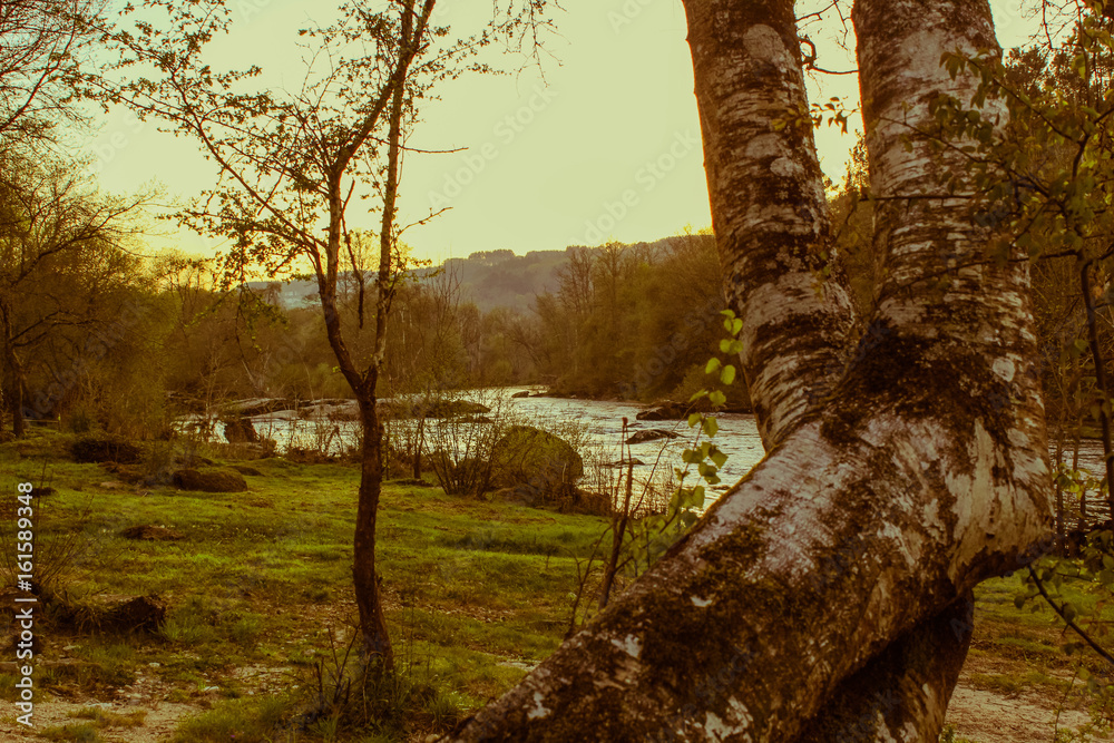 Photo & Art Print Atardecer en el rio, Tamara