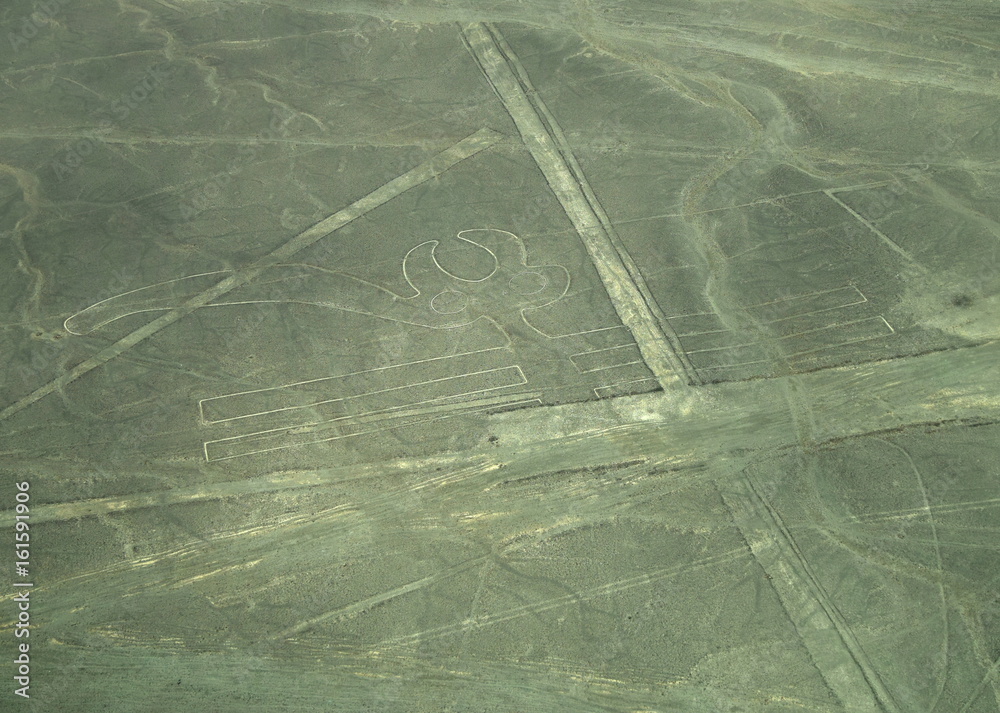 The Nazca Lines in Peru, here you can see the Parrot Stock Photo ...