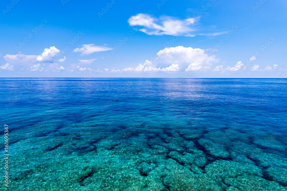 Sea, reef. Okinawa, Japan, Asia. Stock Photo | Adobe Stock