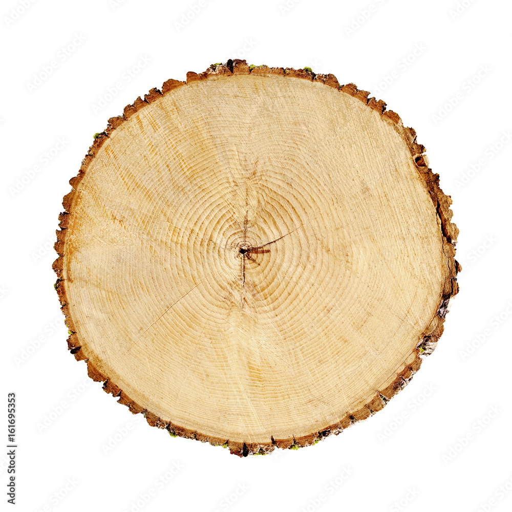 Smooth cross section of brown tree stump slice. Annual rings on large ...
