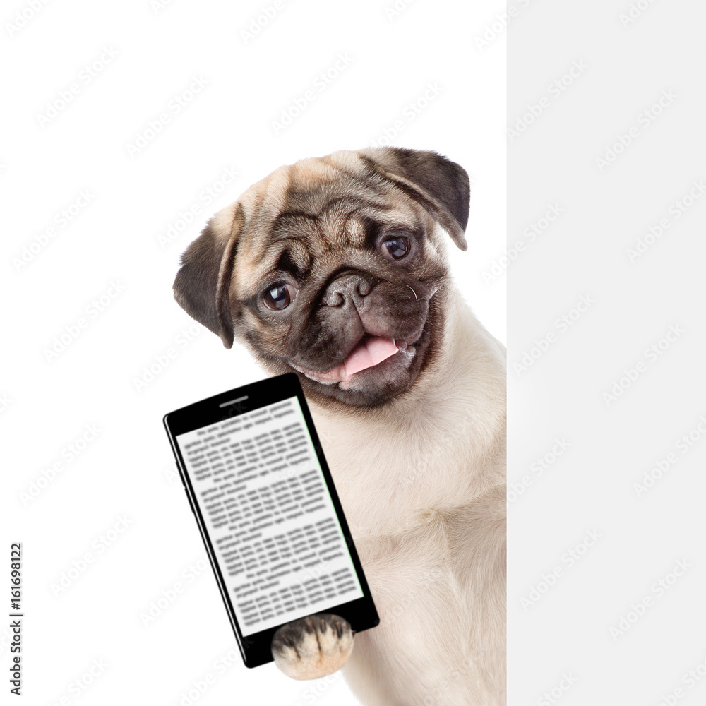 Dog with smartphone peeking behind white banner. isolated on white ...