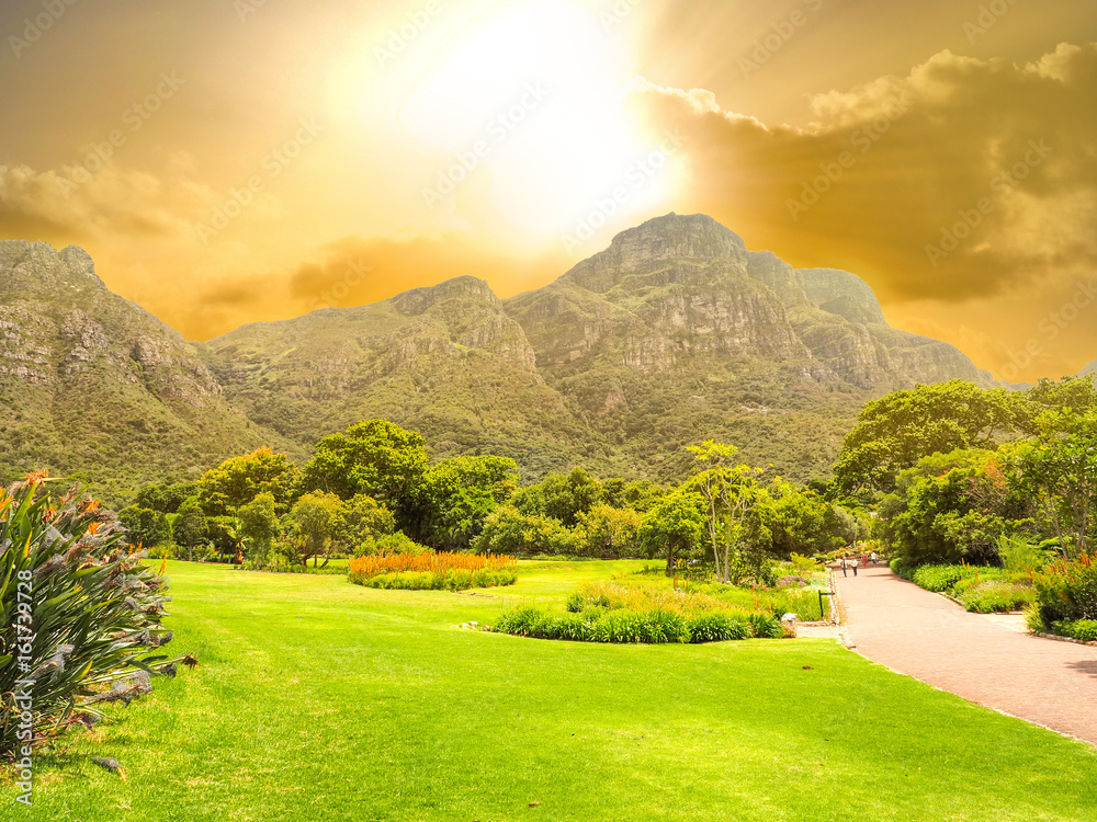 Kirstenbosch National Botanical Garden is acclaimed as one of the great ...