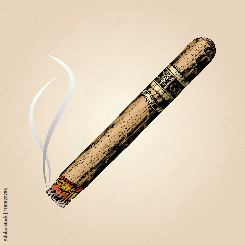 Cigar hand drawing vintage style Stock Vector | Adobe Stock