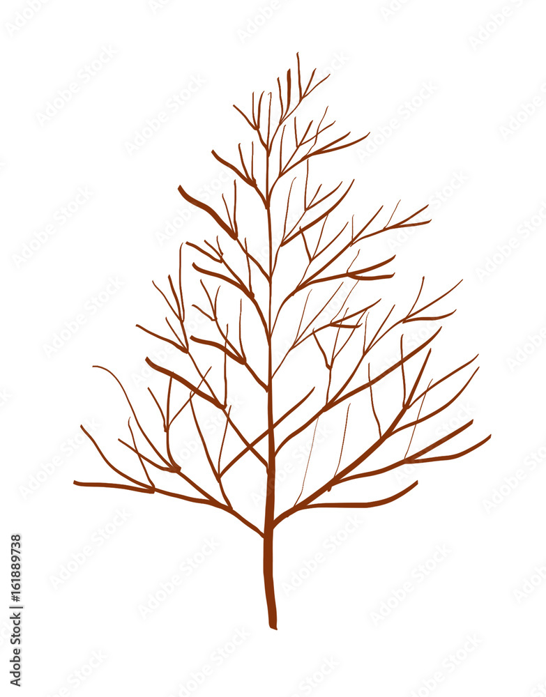 Colorful abstract drawn brown tree on white background, isolated ...