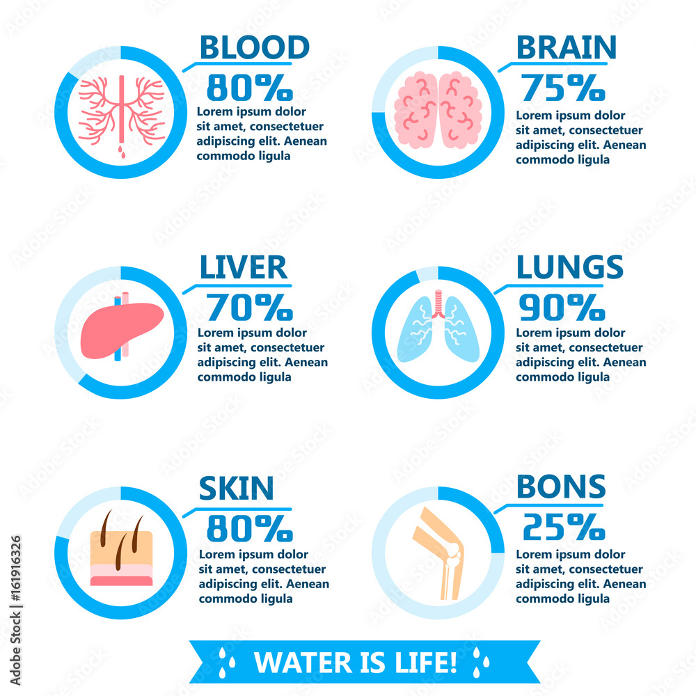 Body water drink infographics health people diet lifestyle concept ...