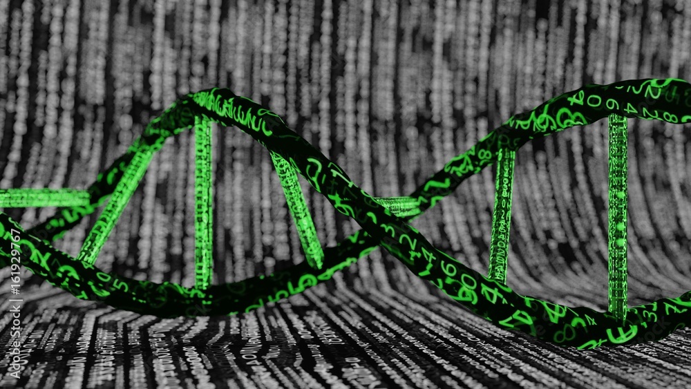 Bioinformatics biotechnology concept of DNA and computational ...