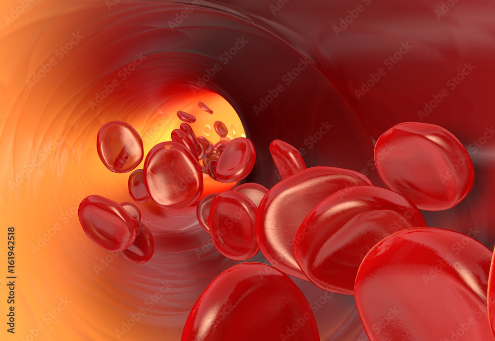 Red blood cells in blood vessel Stock Illustration | Adobe Stock