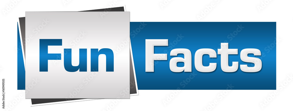 Fun Facts Blue Grey Horizontal Stock Illustration | Adobe Stock