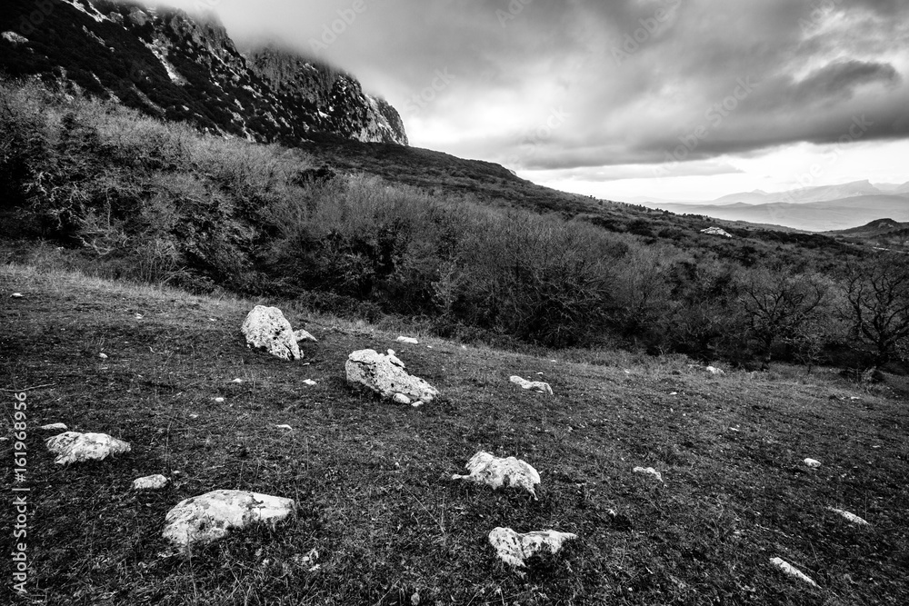 Black and white landscape with forest, mountains and cloudy sky. Sicily ...